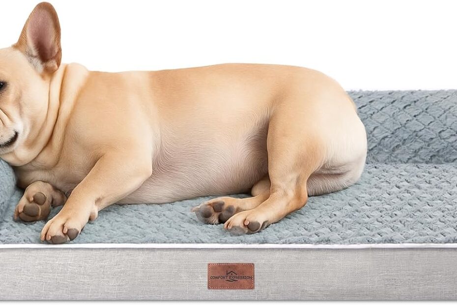 Ultimate Comfort for Your Pup: Review of the Comfort Expression ...